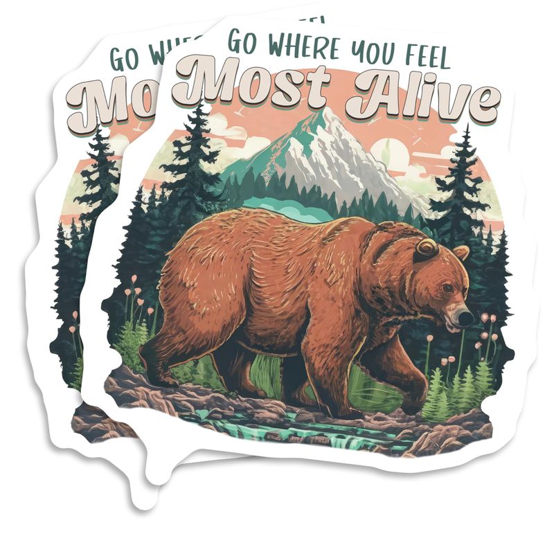 (2 Pack) Bear Adventure Stickers Sticker - Go Where You Feel Most Alive ...