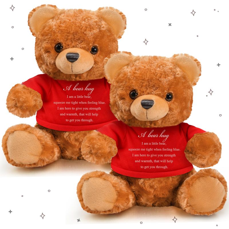 Meooeck 2 Pcs Little Bear Plush Stuffed Animal Sympathy Gifts Memory ...