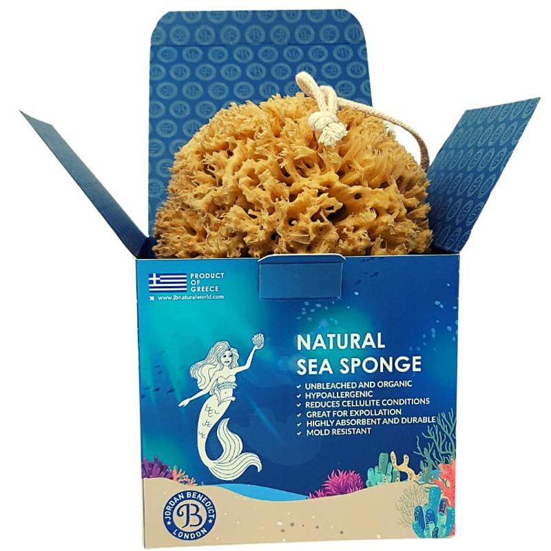 Jordan Benedict Natural Sea Sponge - Natural Sea Sponge for Bath and ...