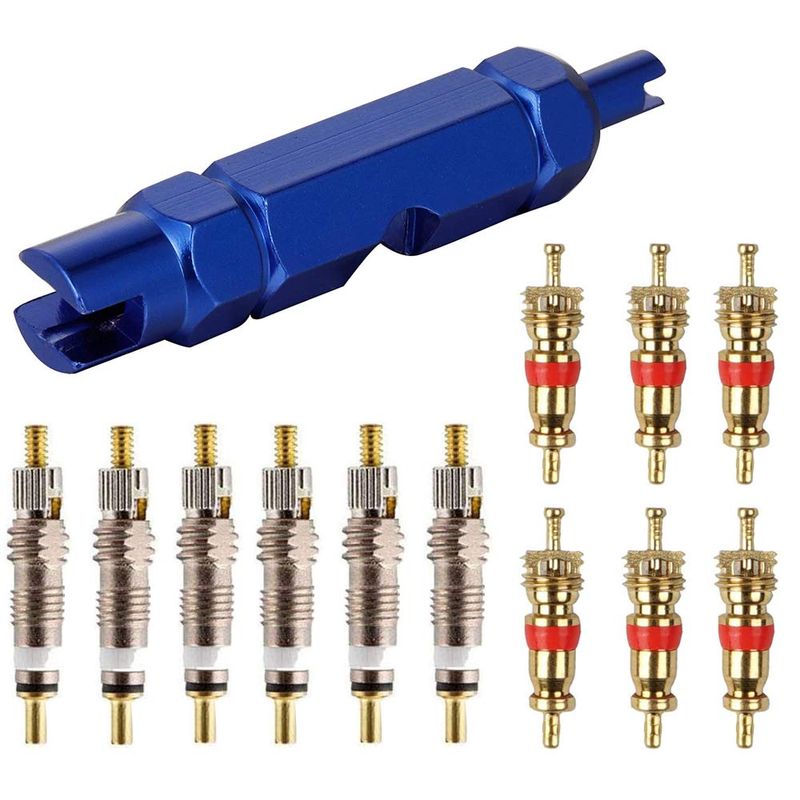 Valve Core Tool Kit, CTRICALVER Set, Presta Valve Core Wrench Tool Kit ...