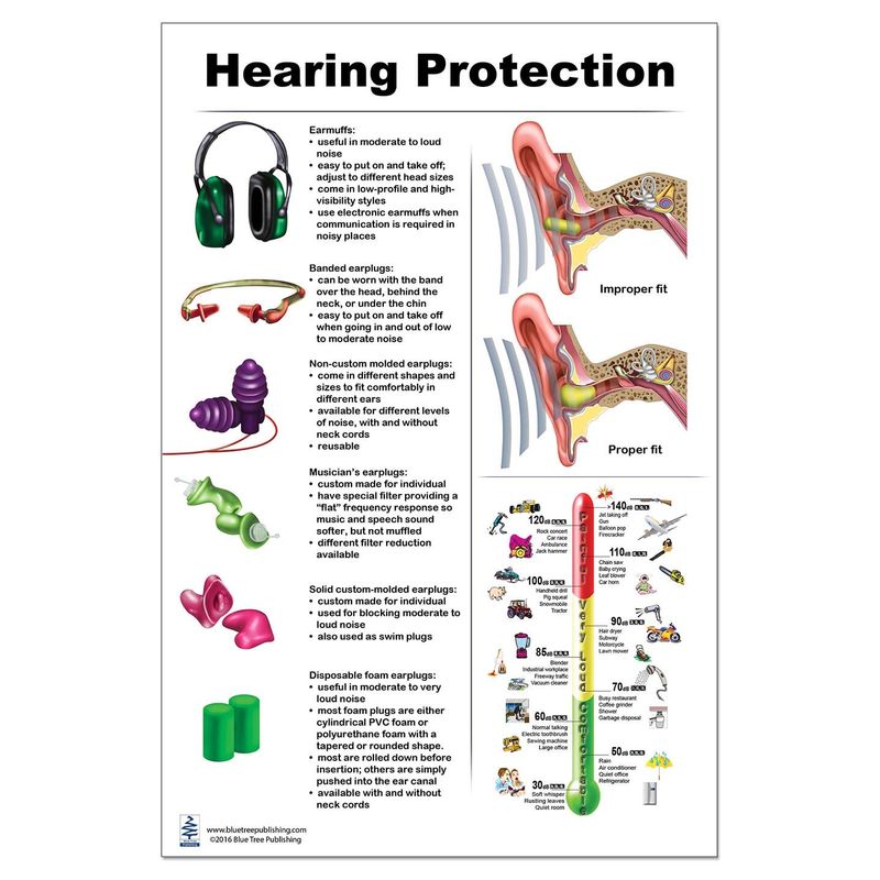 Blue Tree Publishing Hearing Protection Poster 24x36inch, Molded Ear ...