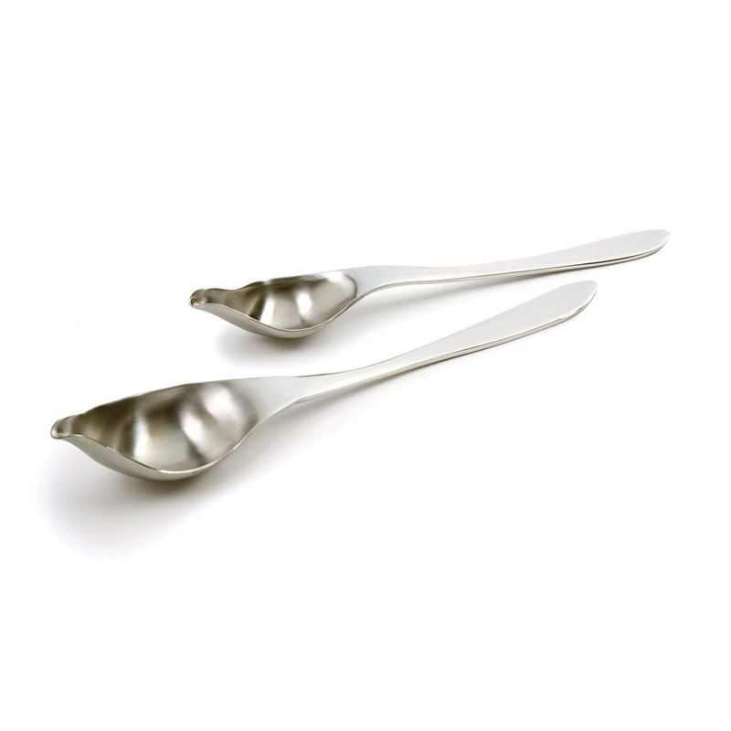 Norpro Stainless Steel Drizzle Spoon, Set of 2 - Online Marketplace ...