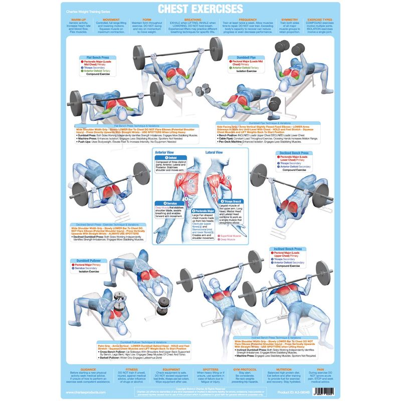 Bodybuilding, Weight Training Exercise Chart Series (A2 Laminated ...