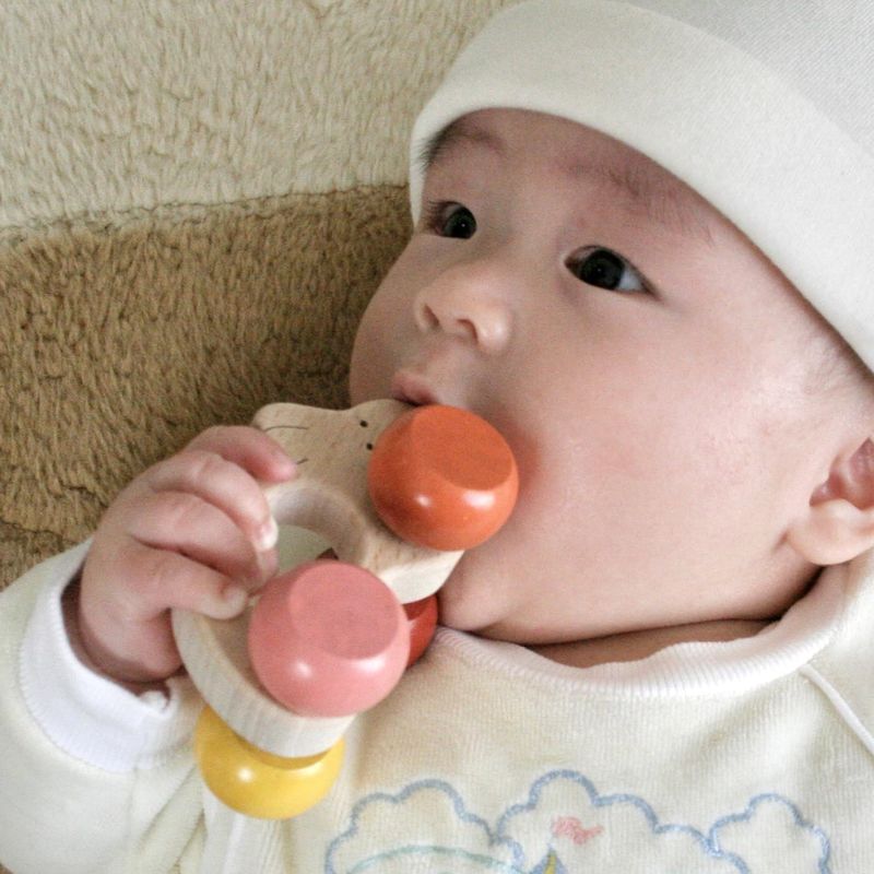 A rabbit car with a comfortable texture (wooden toy that is gentle on ...