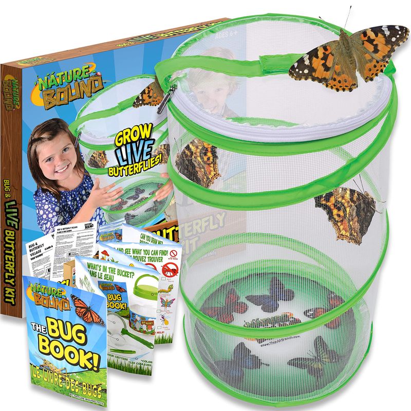Nature Bound Butterfly Growing Kit - Live Caterpillar to Butterfly ...
