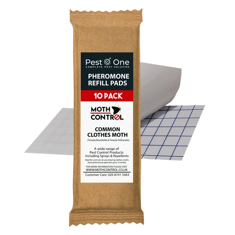 Carpet Moth Wardrobe Clothes & Carpet Moth Traps Treatment Professional ...