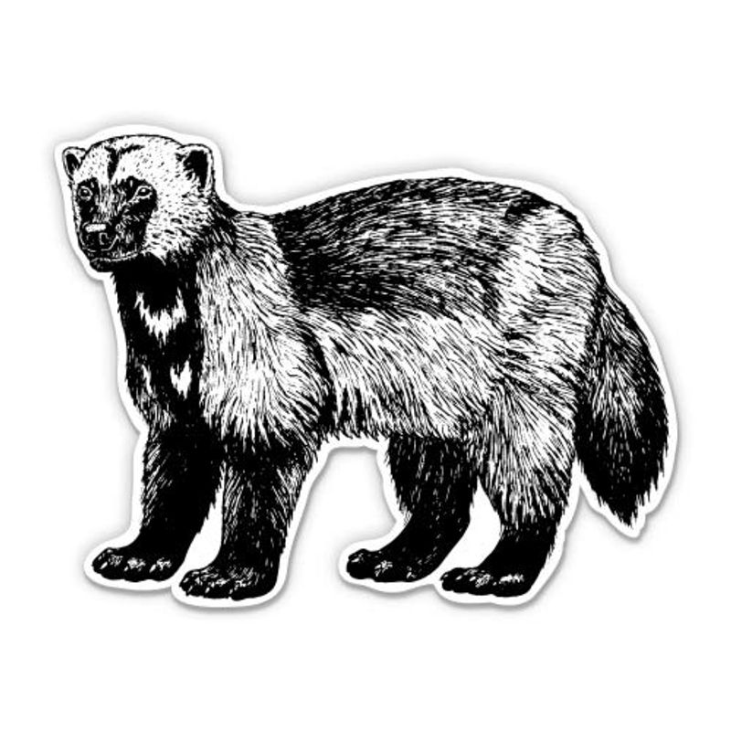 Wolverine - 12" Vinyl Sticker Waterproof Decal - Online Marketplace ...