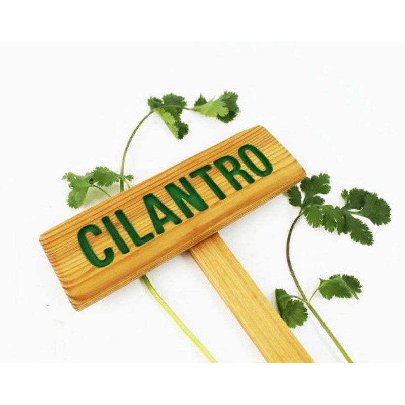 CILANTRO Herb Garden Sign, Painted & Oil Sealed Cedar Wood: Hand Routed ...
