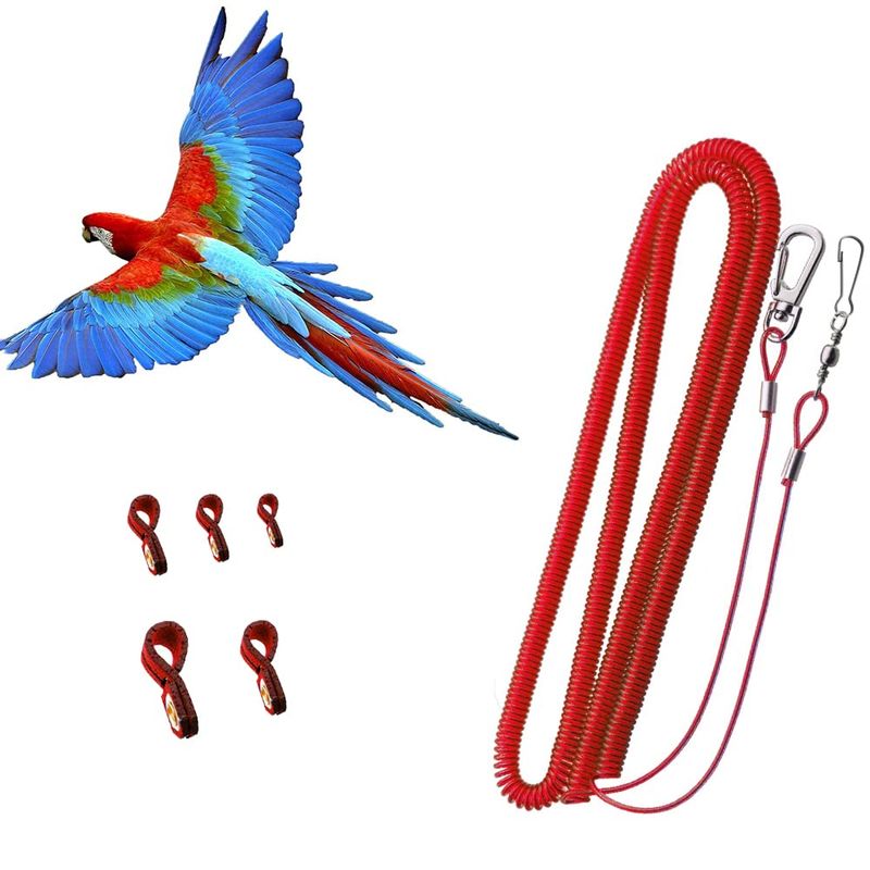 Bird Harness Leash Anti-bite Outdoor Red Flying Training Rope with 5pcs ...