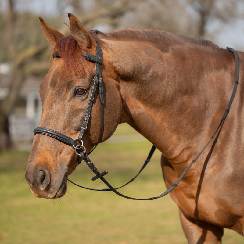 Equinavia Saga Cross-Under English Bitless Bridle for Horses | Reins ...