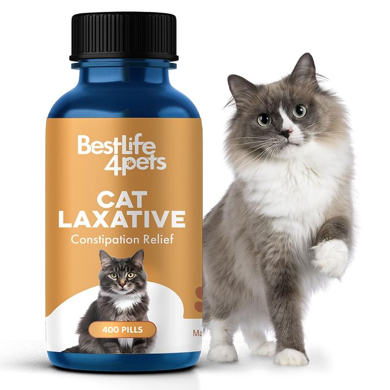BestLife4Pets - Cats Constipation Relief and Stool Softeners - Natural ...