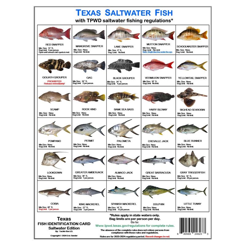 Tackle Box I.D. Texas Saltwater Fish Identification Card Set - Three ...