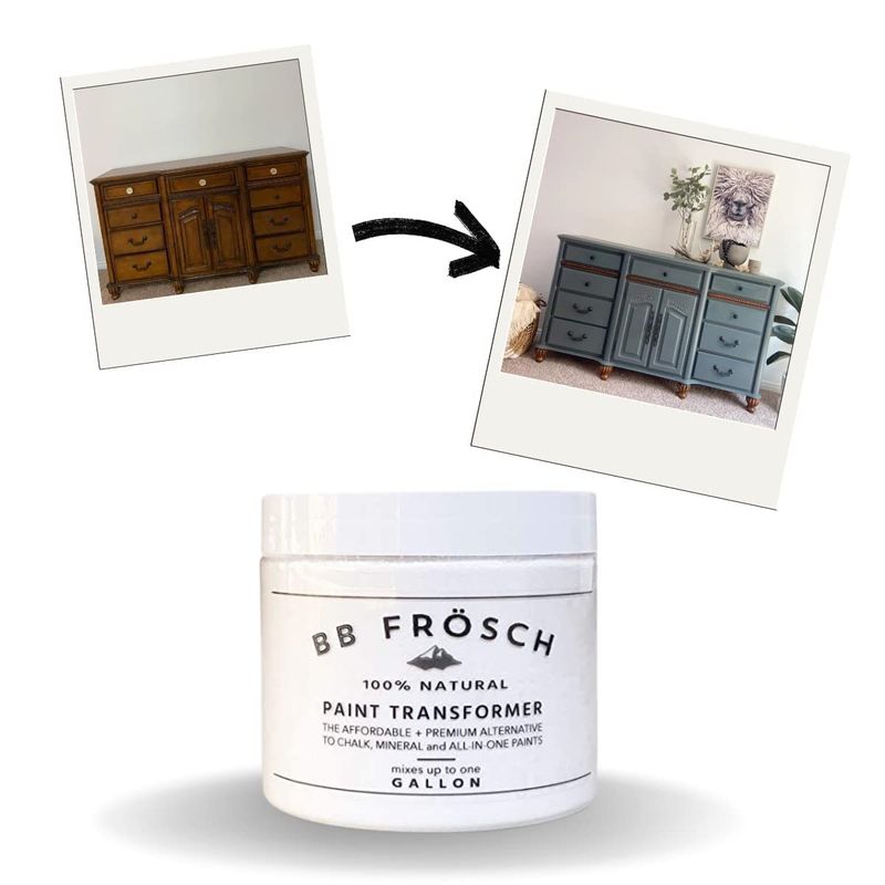 BB Frosch Paint Transformer | Paint Powder | Mineral Paint for ...