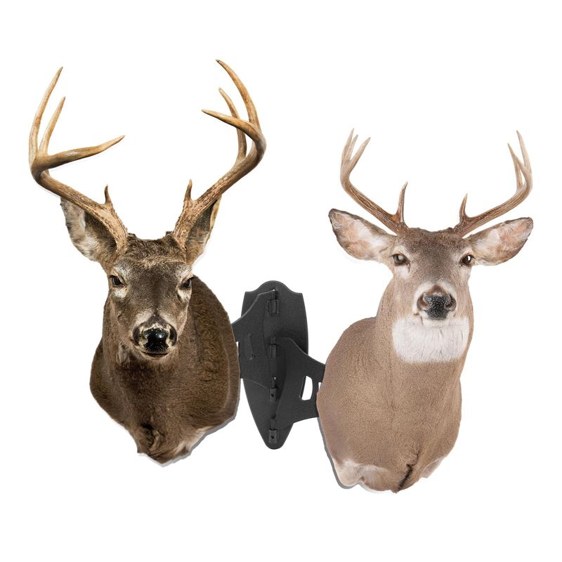 KUAFU Trophy Mount Bone Bracket Small/Medium Size Dual Shoulder Mount ...
