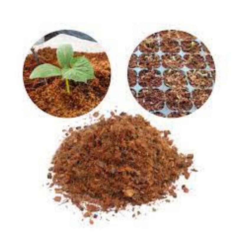 Natural 1kg Coir Fibre Dust Pack For Home Vegetable Garden, Orchid ...