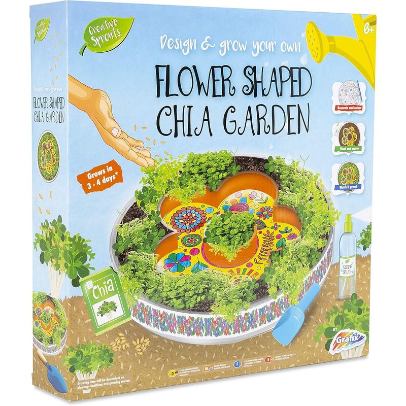 Design & Grow Your Own Flower Shaped Chia Garden – Creative Fun for ...