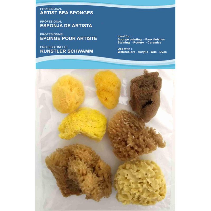 Artists Painting Natural Sea Sponges value pack - 7 pieces for Art ...