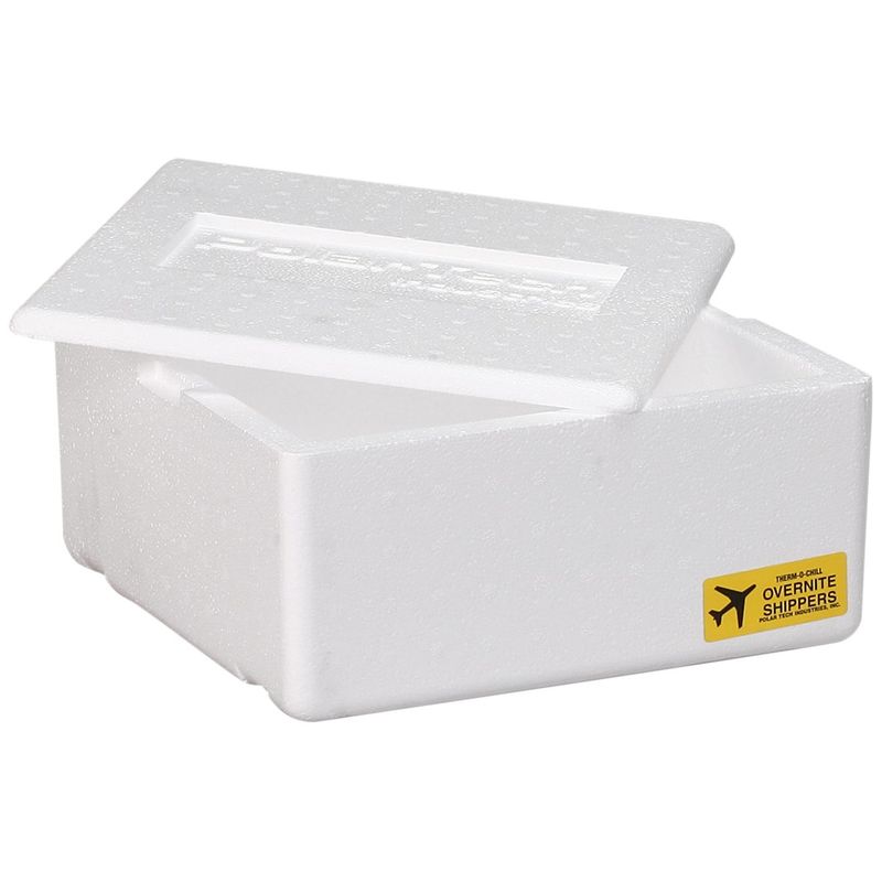 Ice Age ON17F/2 Thermo Chill Overnite Containers (Pack of 2),White ...