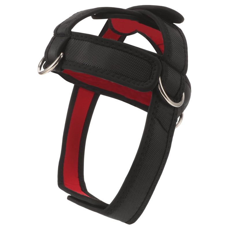 and Neck Trainer Indoor Neck Exerciser Neck Weight Lifting Harness ...