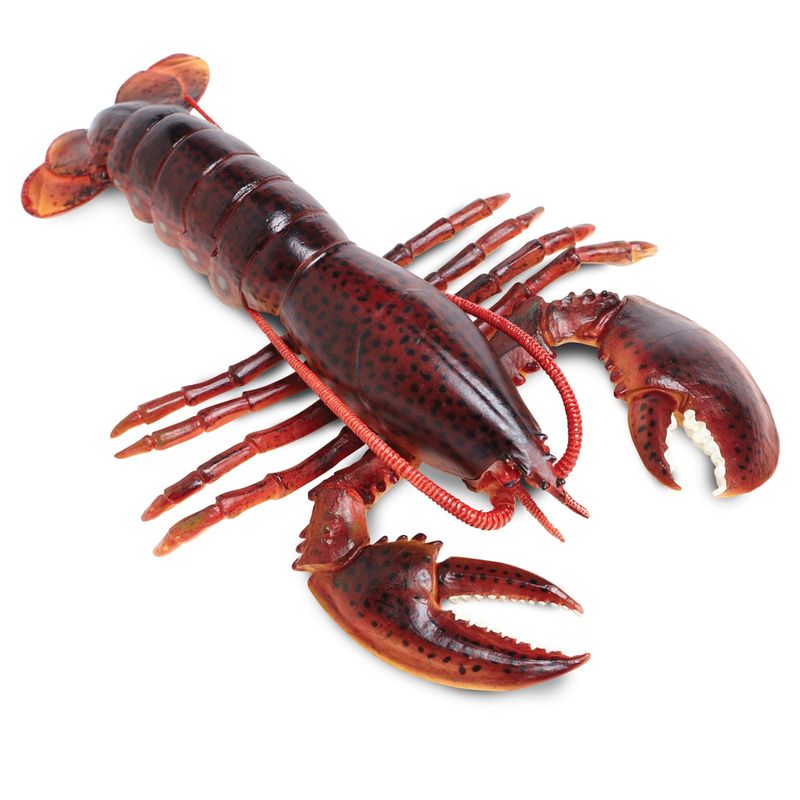 Safari Ltd. Maine Lobster Figurine - Realistic 8" Crustacean Figure ...