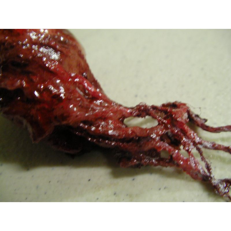Dead Head Props premium Life size Ripped Out Eyeball Movie Quality Prop ...