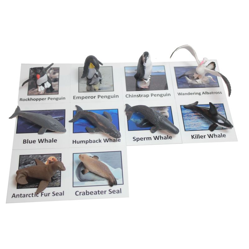Montessori Antarctic Polar Animal Match - Miniature Arctic Animal Toy ...