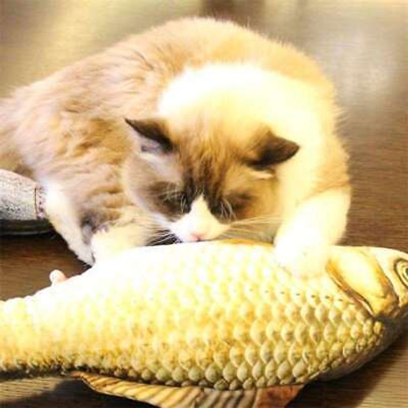 Cat Dog Small Fish Toy Plush Stuffed Scratch Board Scratching Post Pet ...