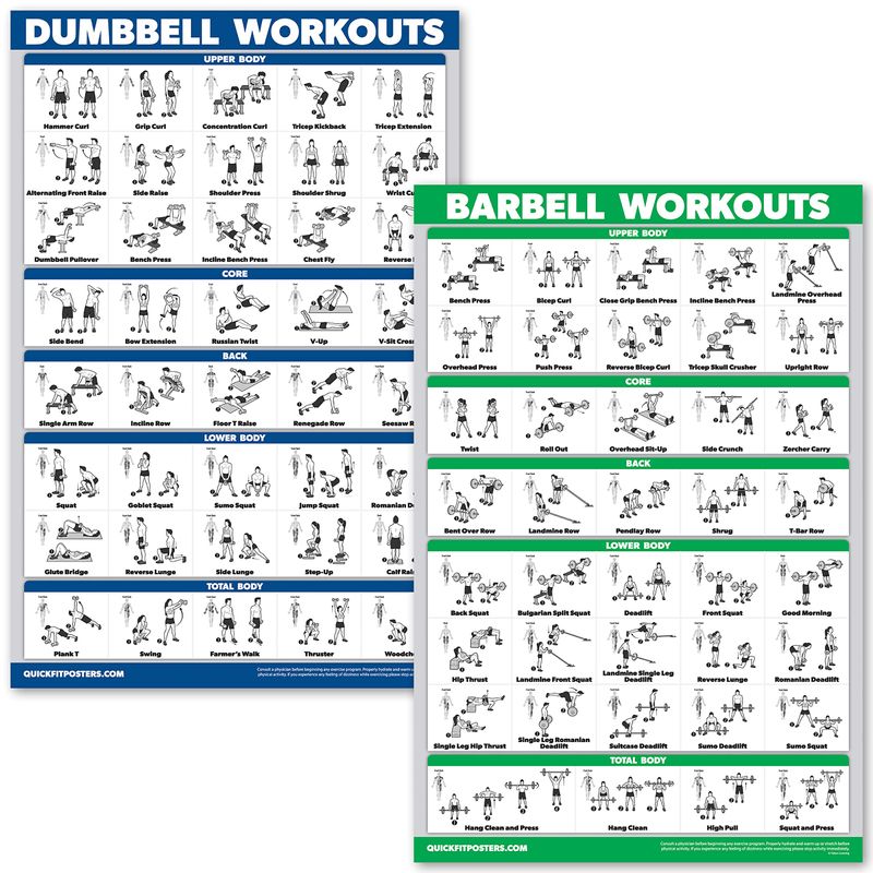 Palace Learning QuickFit Dumbbell Workouts and Barbell Exercise Poster ...