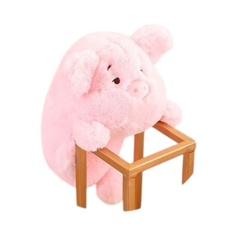 Posture Correction Plush, Posture Support, Hunchback Improvement, Spine ...