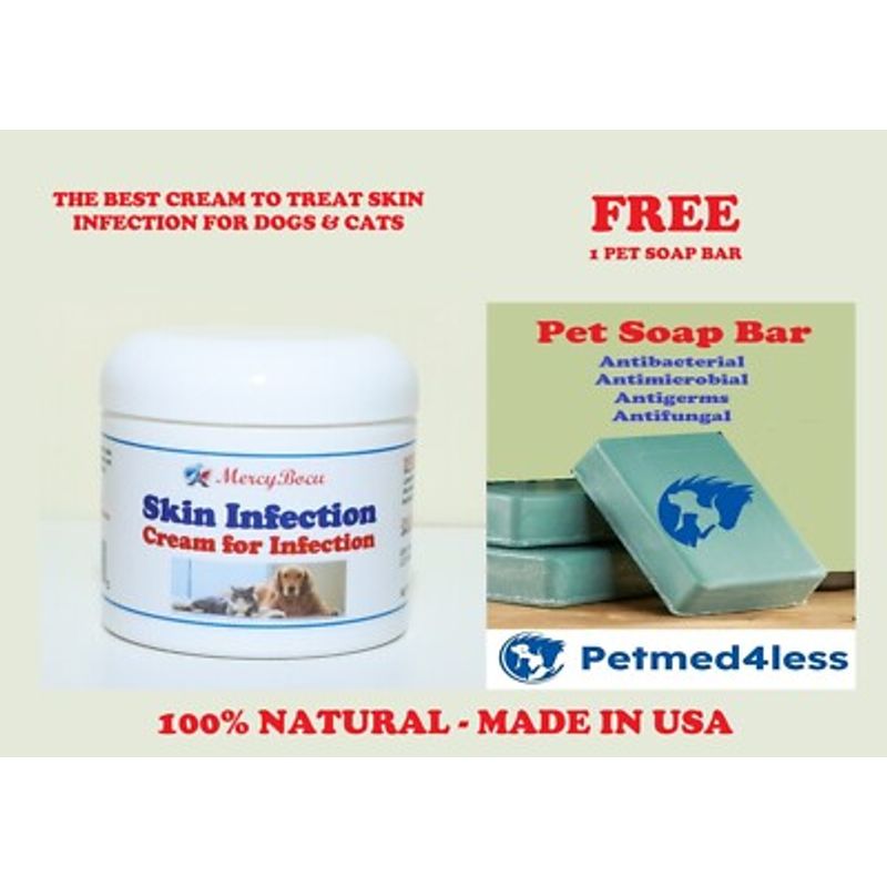 SKIN INFECTION GEL FOR DOGS & CATS - Antimicrobial, bacterial skin ...
