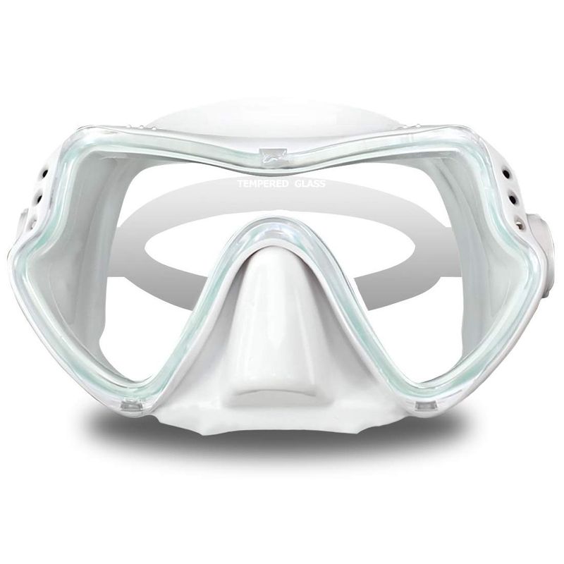 DAYOFF Diving Mask, Wide Field Vision, Snorkeling Mask, Scuba Diving ...