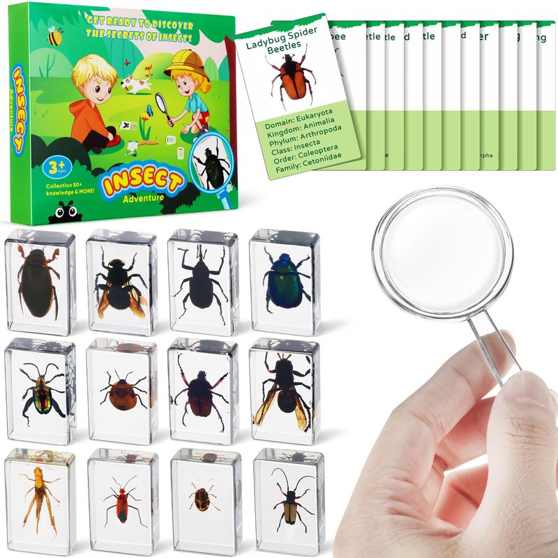Briwooody 12 Pcs Insect in Resin Specimen with 1 Magnifier 12 ...