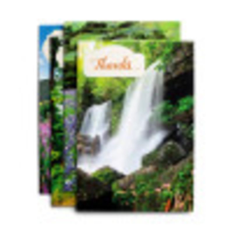 DaySpring - Thank You - King James Version - 4 Assorted Nature ...