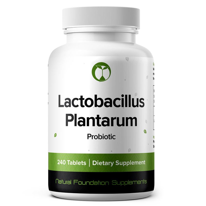 Lactobacillus Plantarum Probiotic Supplement 240 Tablets 3 Billion CFU ...