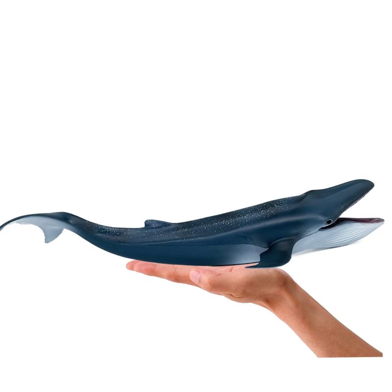 Higherbros Blue Whale Shark Action Figure Toys, Sea Life Shark Animal ...
