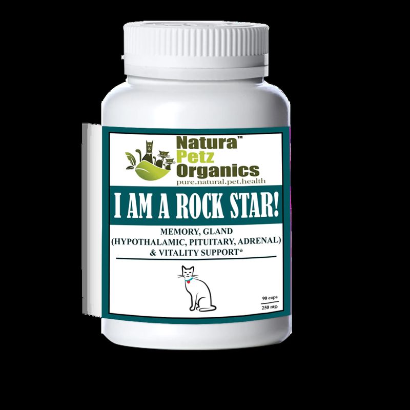I Am A Rock Star - Memory, Gland (Hypothalamic, Pituitary), CAT, 250 mg ...