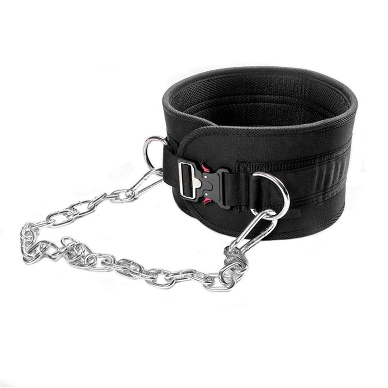 HemeraPhit Pull-up Belt Weighted Dip Belt with Chain Double D-ring ...