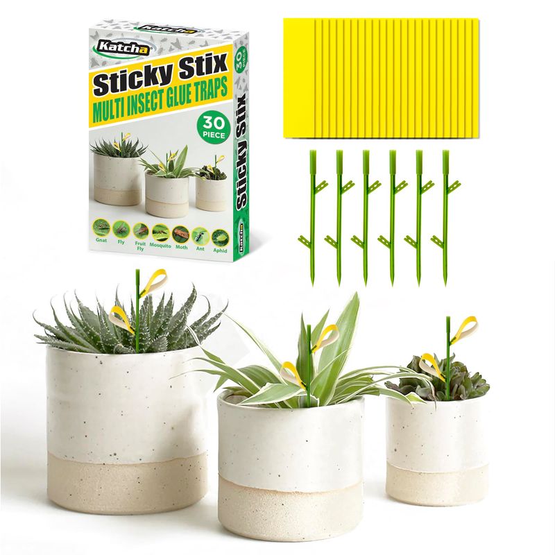 Katcha Sticky Stix - Traps Fruit Fly Fungas Gnat Killer Multi Insect ...