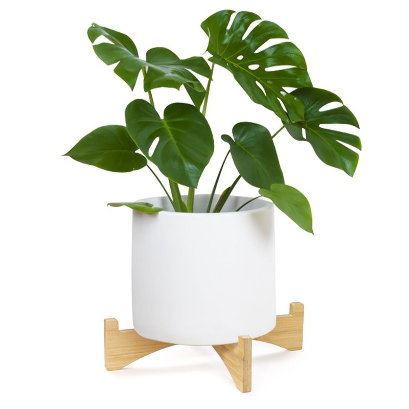 Roucerlin Short Wooden Plant Stand, Single Floor Flower Planter Stand ...