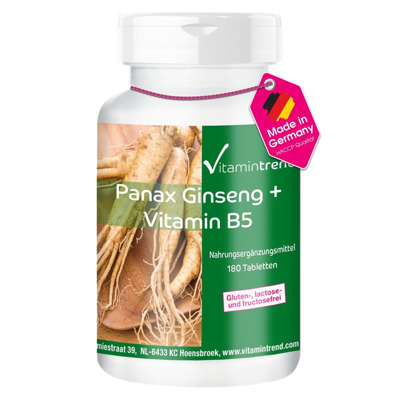 Panax Ginseng + Vitamin B5-180 Tablets - 600 mg Red Panax Ginseng ...