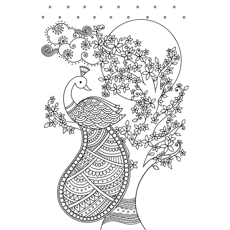 Peacock Adult Coloring Canvas, Stretched primed canvas to color | 8 x ...