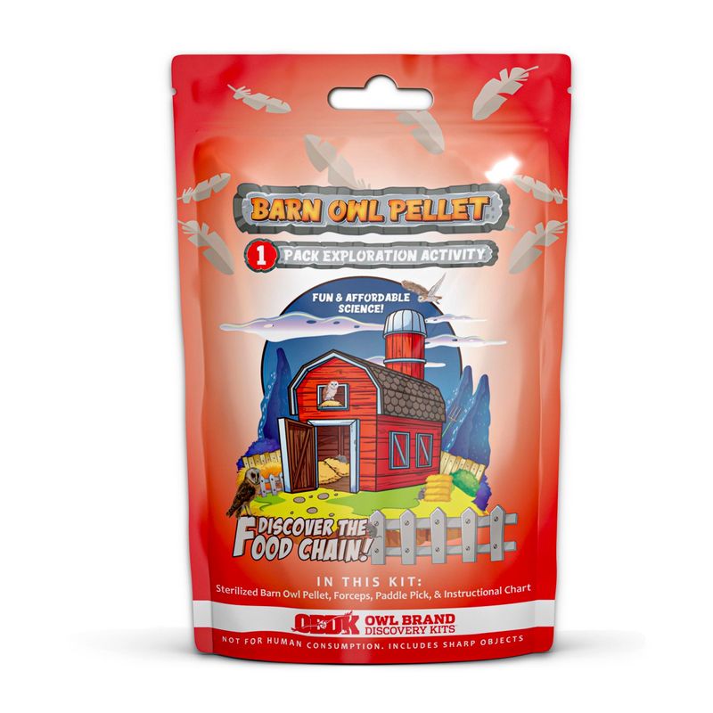 Barn Owl Pellet (Small 1.0-1.5") 1 Pack Kit for Science Teachers and Students Includes Tools ...