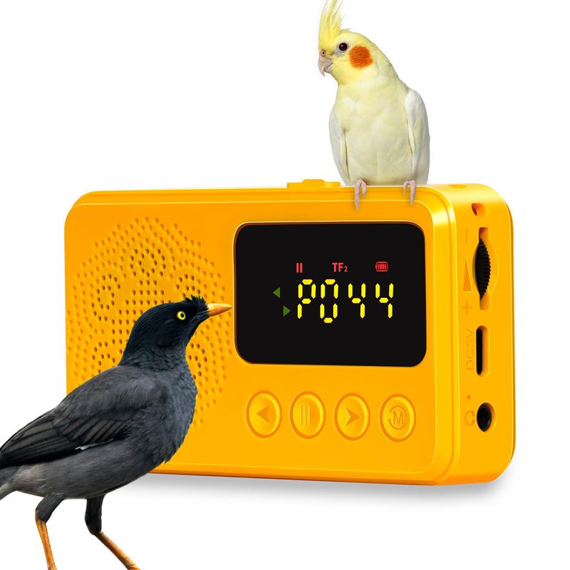 NASIDE Parrot Toys, Bird Learning Machine - Teach Talking, Whistling ...