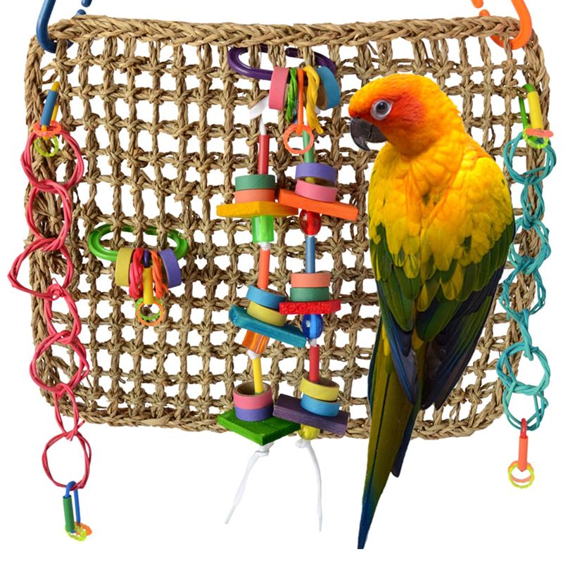Super Bird Creations SB699 Activity Wall Toy - Ideal for Parrots ...