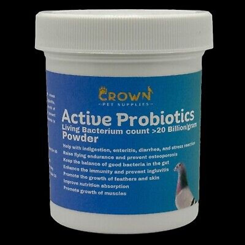 Probiotic 20 Billion Powder, Diarrhea, Muscles Growth & Immunity For ...