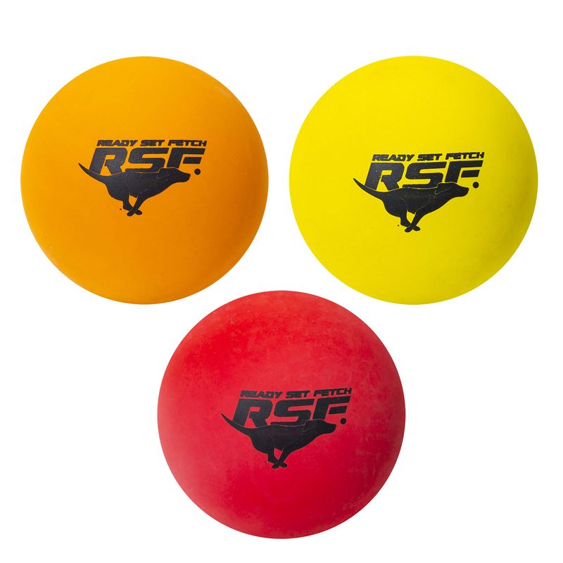Franklin Sports Pet Supply High Bounce Fetch Balls for Dogs - Multi ...