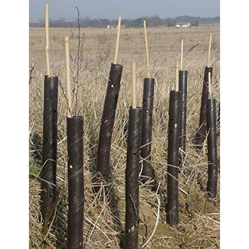 Elixir Gardens Spiral Tree Guards 2ft/24 Professional Rabbit/Pest ...