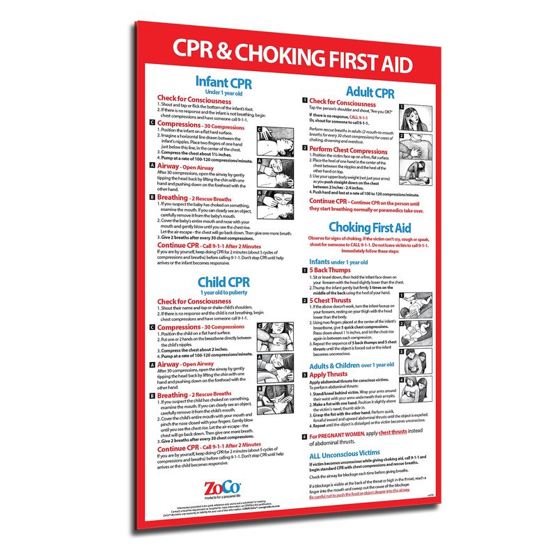 CPR and Choking Posters (5 Pack) for Infant, Child, Adult - Laminated ...