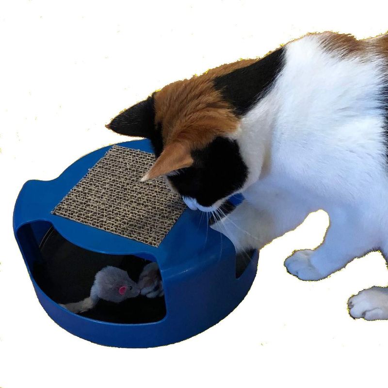 VersX LLC Catch The Mouse Interactive Chase Toy with Scratch Pad ...