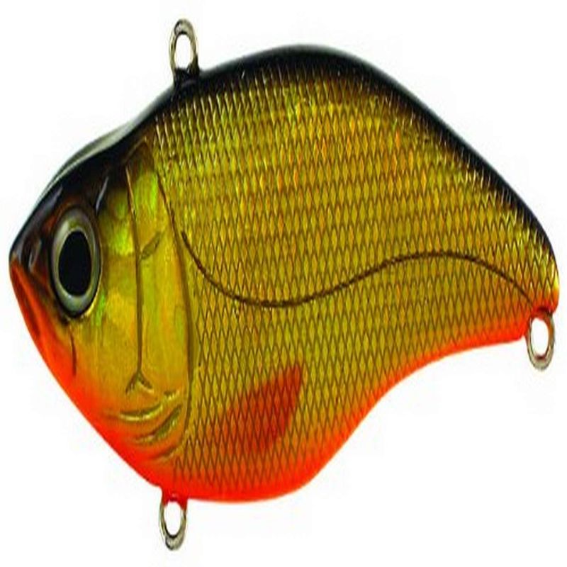 SPRO Aruku Shad 75 Bait-Pack of 1, Gold Black - Online Marketplace ...